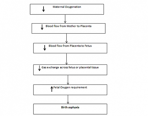 Birth asphyxia and Hypoxic Ischemic Encephalopathy(HIE): Causes ...