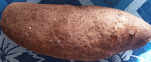 Quick and Easy Healthy Yam Recipes