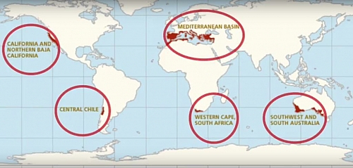 Chaparral Biomes: Location, Climate, Plants, Animals and Human Impact