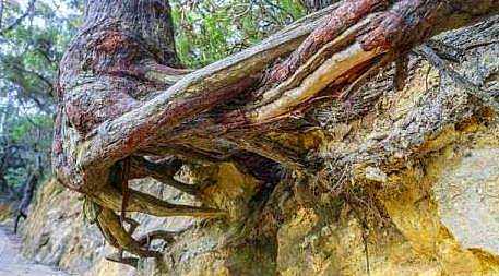 Weathering: Definition, Types and Examples of Weathering