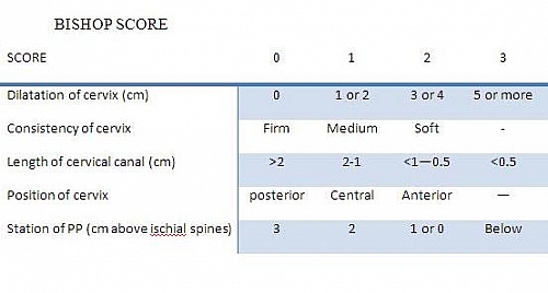 Induction of Labour Methods, Process, Natural Ways to Induce Labor and ...