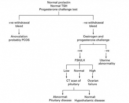 Progesterone Challenge Test Dosage, Side effects, Physiology and Results