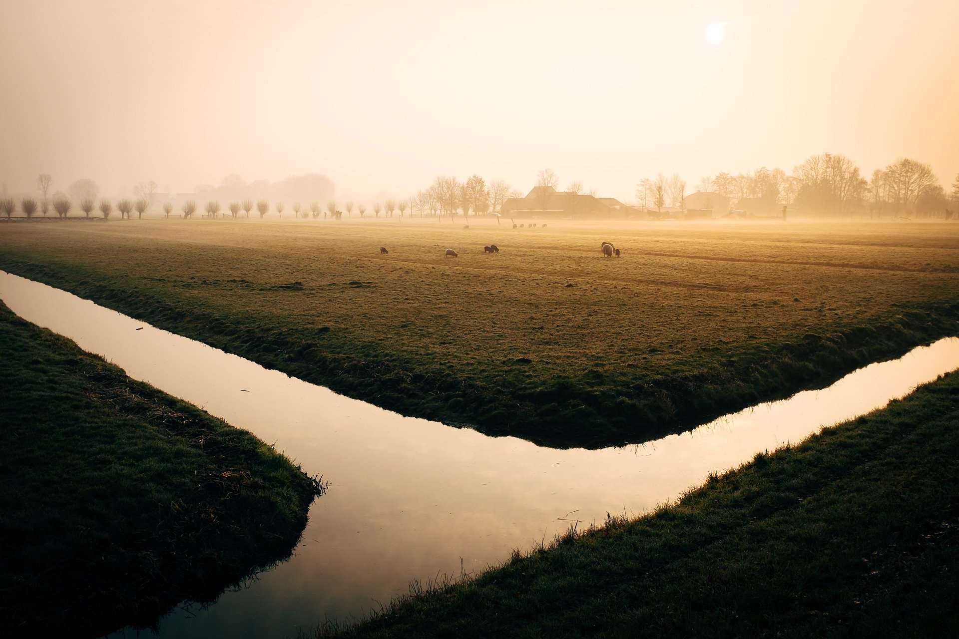 Irrigation Systems: Types and Importance in Agriculture and Ecology