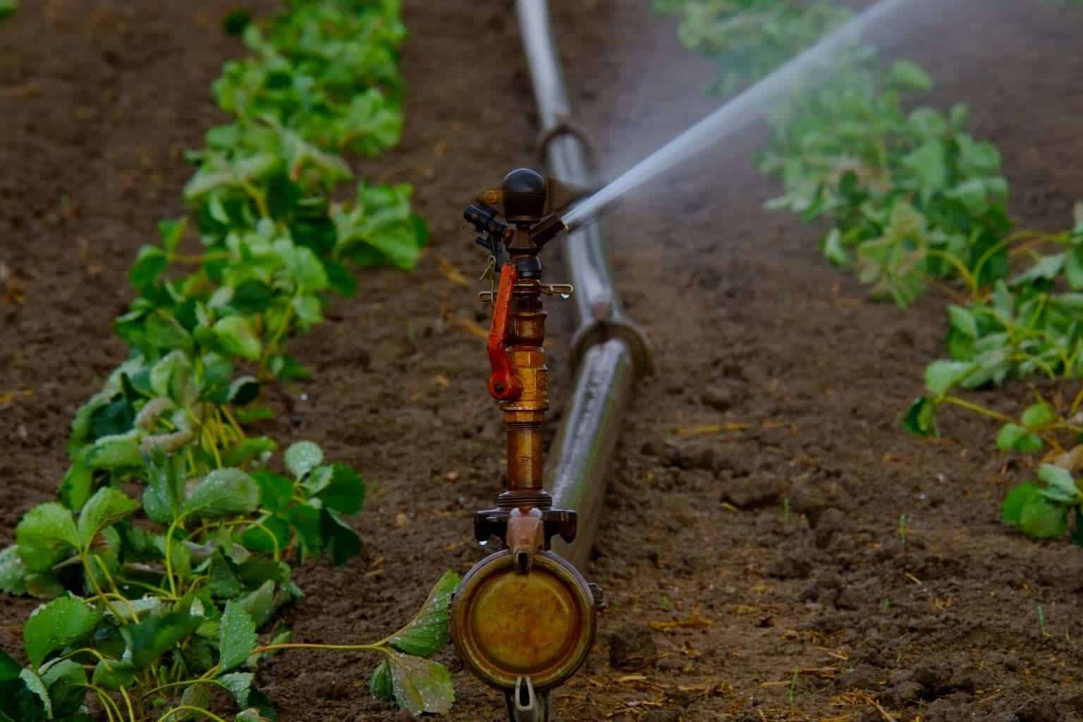 Sprinkler Systems in Irrigation / Watering Sprinklers for Lawns - Jotscroll
