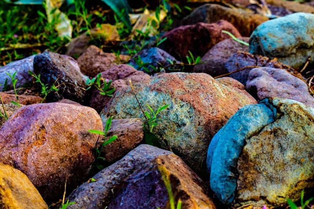 What is Mulching in Ecology and Gardening? Types of Mulching